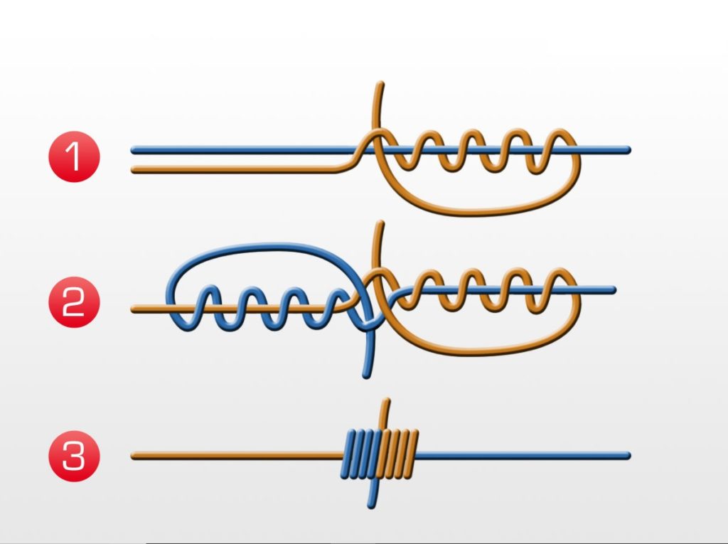 Angelknoten – Angelfreunde "Ara" e.V.